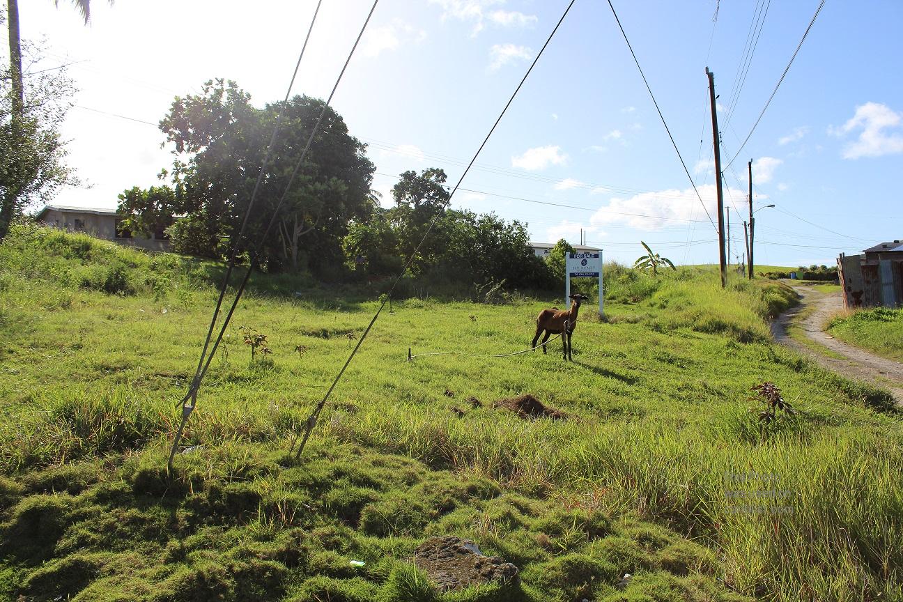 CaribList Barbados Real Estate and Property for Sale, rent and lease.